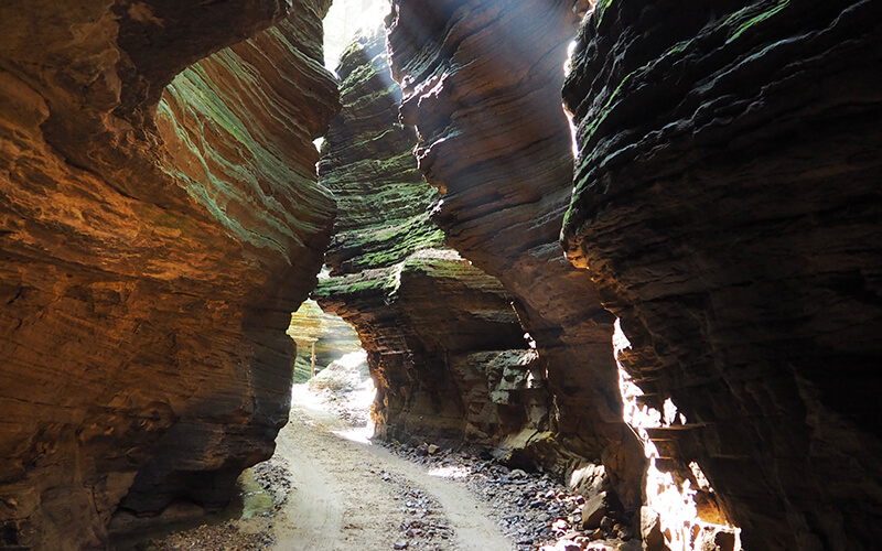 Horse Drawn Carriage Tours - Lost Canyon